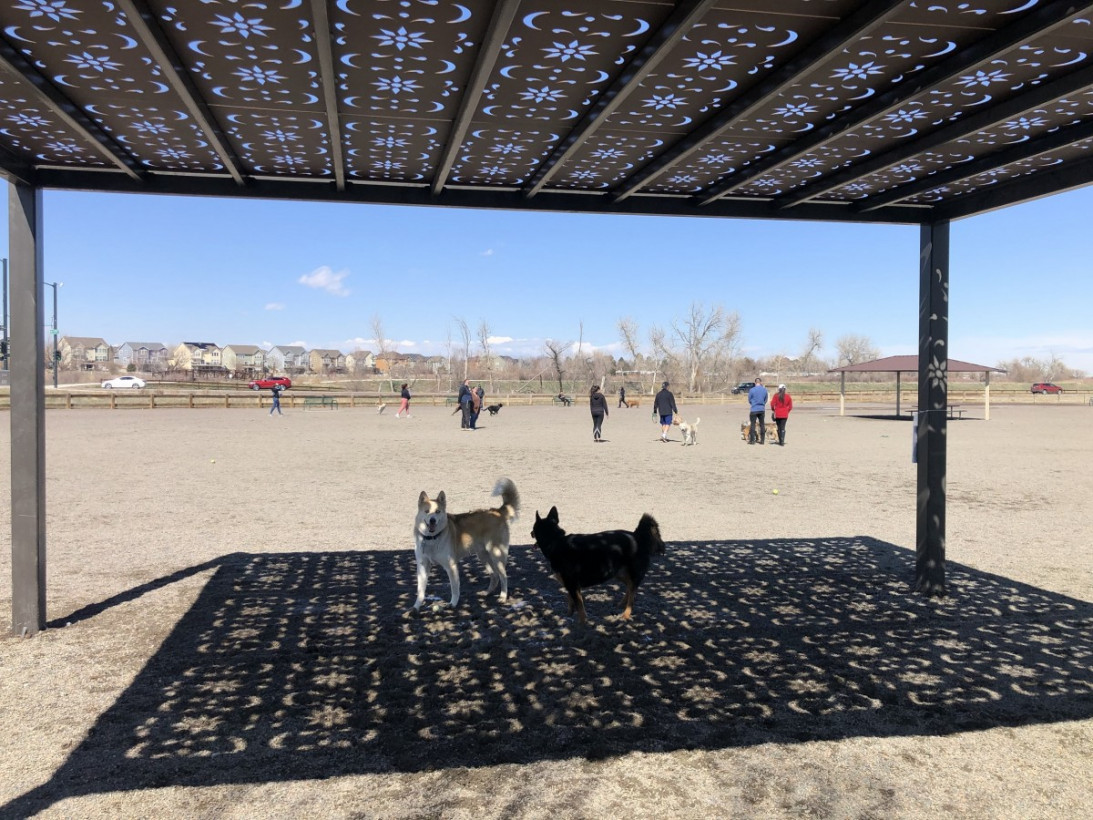 Parasoleil Pattern Library | Mission©