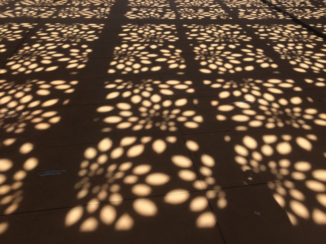 Parasoleil | "Poway Library" Case Study